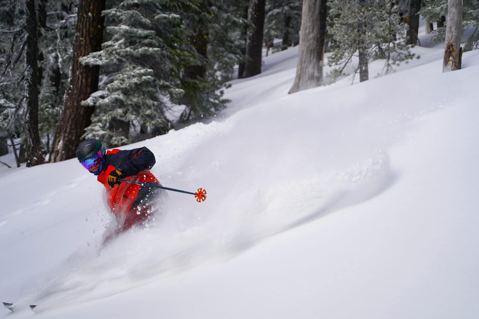 Season Passes - Willamette Pass