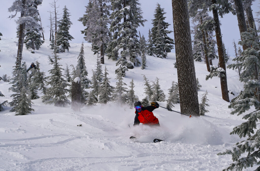 Weather, Conditions & Webcams - Willamette Pass