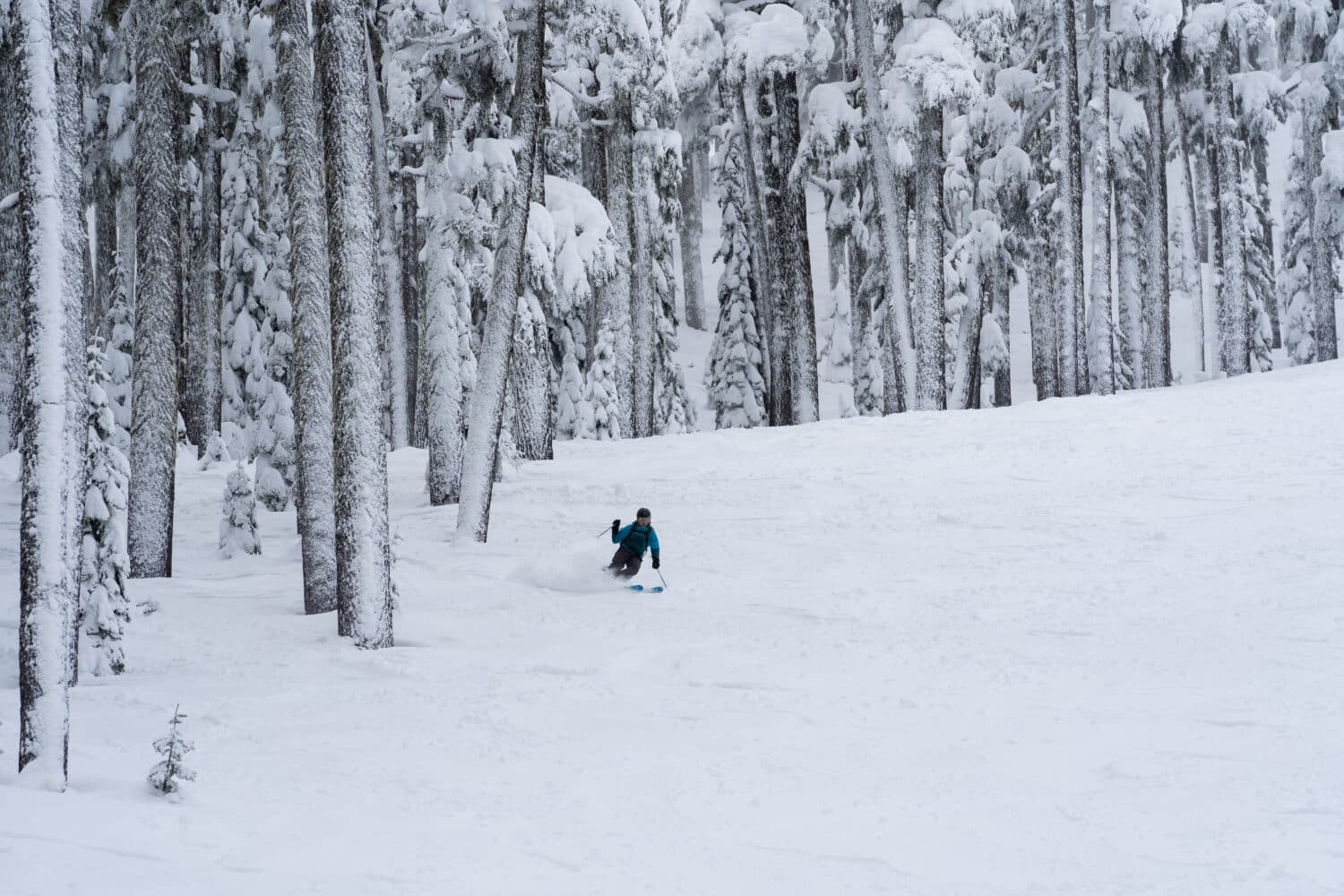 Season Passes - Willamette Pass